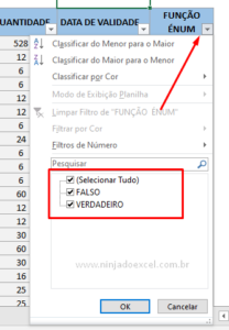 Conheça a Função ÉNÚM no Excel - Ninja do Excel