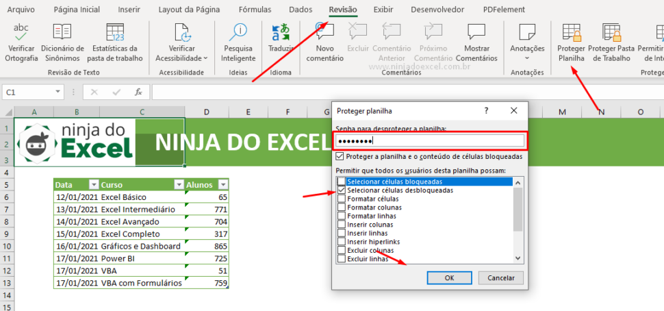 Como Bloquear Imagem no Excel – Passo a Passo - Ninja do Excel