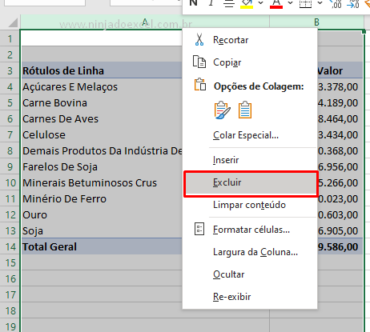Como Excluir uma Tabela Dinâmica no Excel - Ninja do Excel