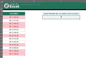 Como Contar Valores Duplicados no Excel - Ninja do Excel