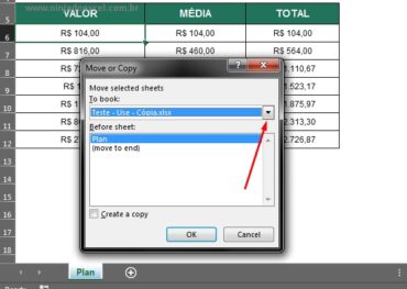 Como Duplicar uma Planilha no Excel - Ninja do Excel