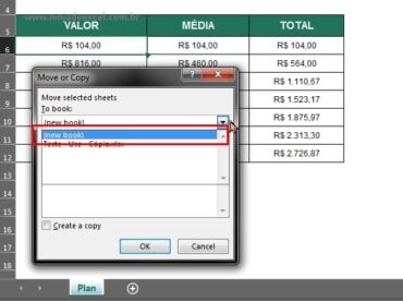 Como Duplicar uma Planilha no Excel - Ninja do Excel