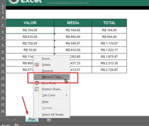 Como Duplicar uma Planilha no Excel - Ninja do Excel