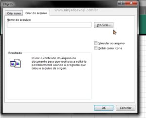 Como Inserir Objeto de Outro Documento no Excel - Ninja do Excel
