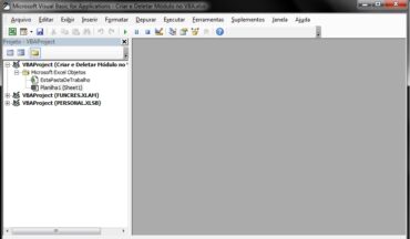 Como Criar e Deletar Módulo no VBA - Ninja do Excel