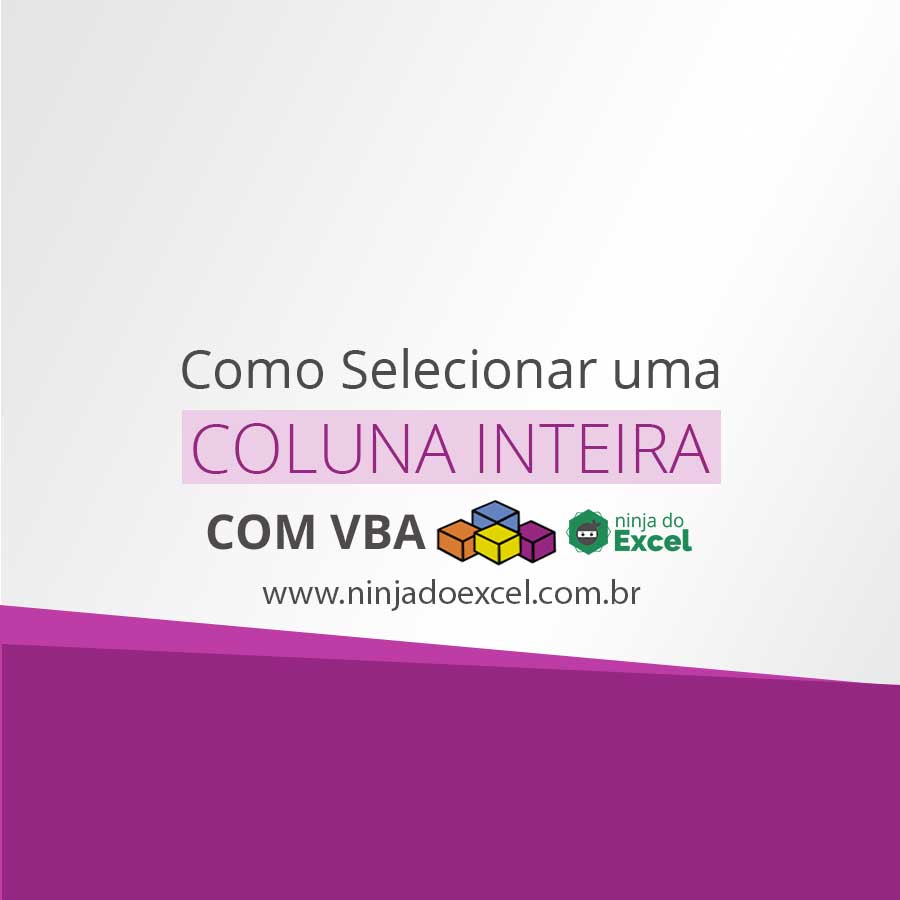 Como Selecionar Uma Coluna Inteira no VBA - Ninja do Excel