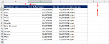 Como Fixar Uma Linha no Excel - Ninja do Excel