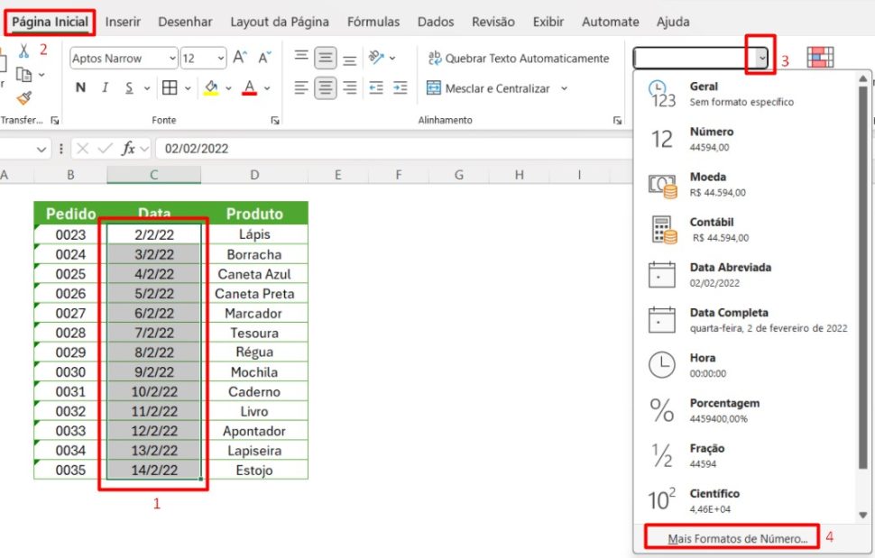 Como Alterar o Formato da Data no Excel - Ninja do Excel